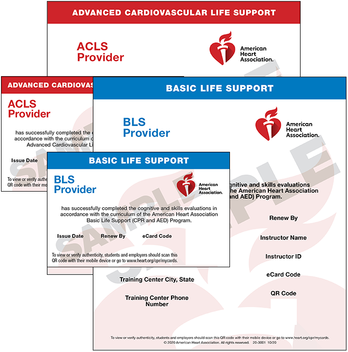 BLS + ACLS Bundle *BUNDLE DISCOUNT* – Stat Med Training